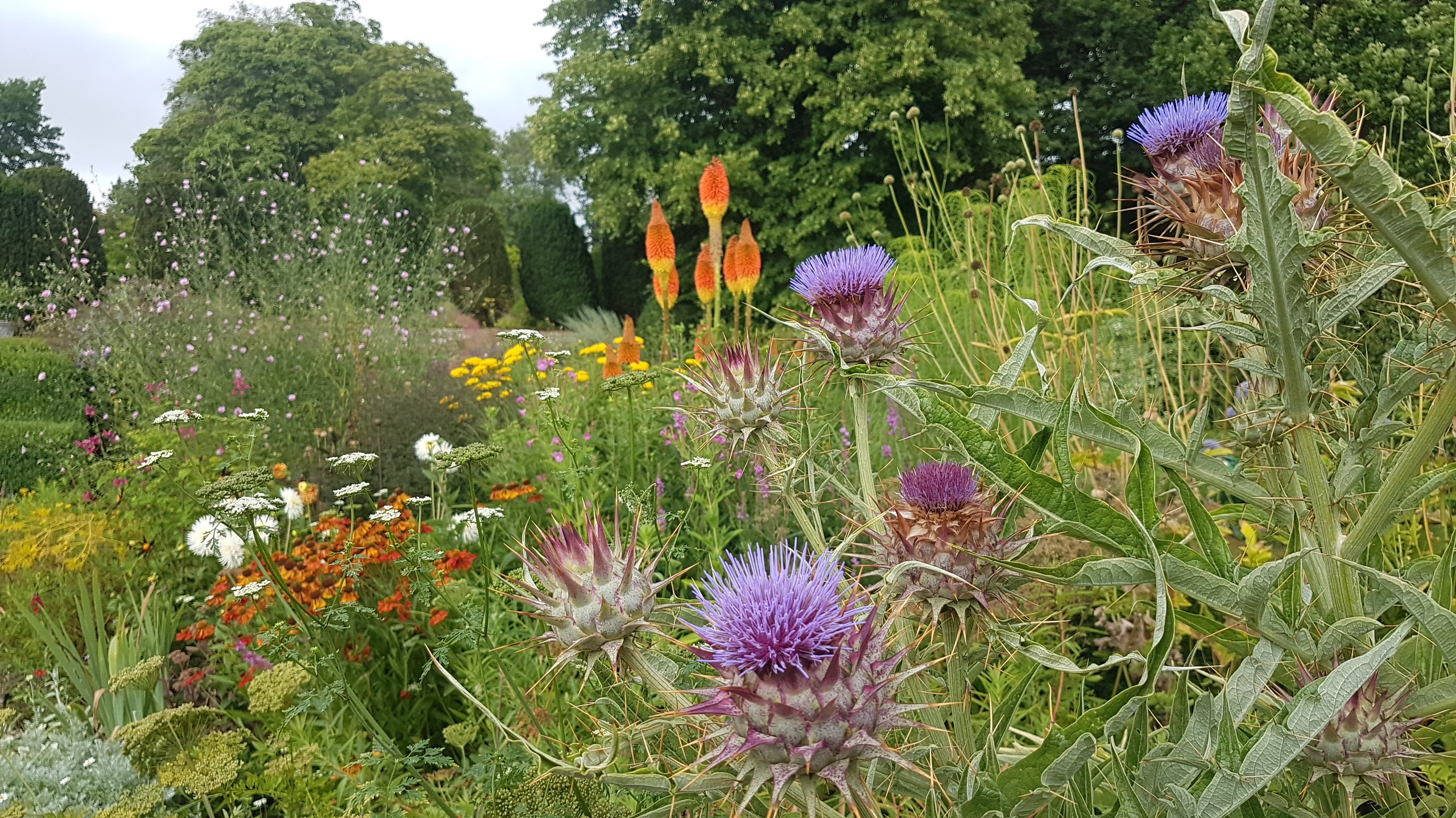 **NEW** Demystifying Planting Design with Anna Ribo - 06 February 2025 ...